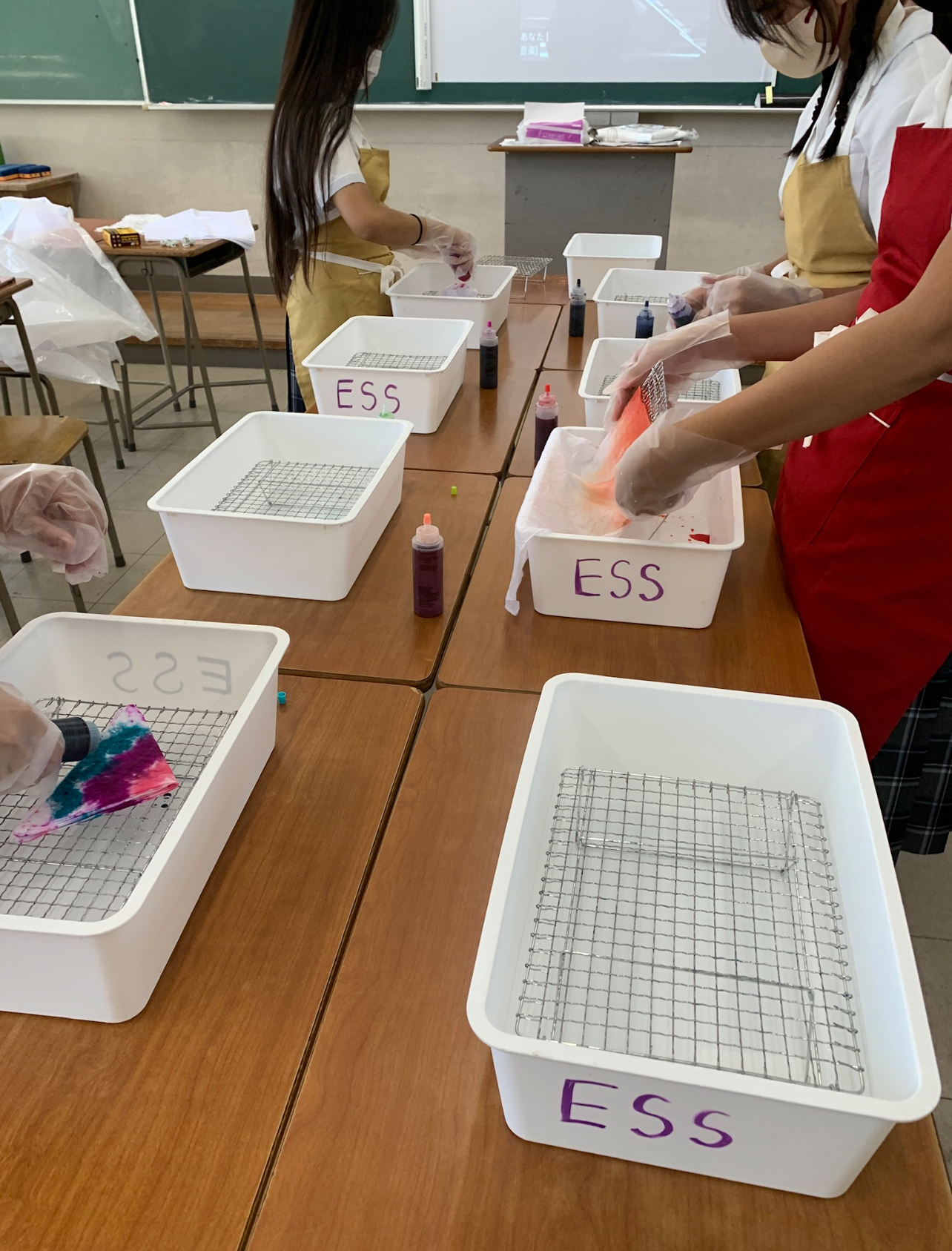 【ESS】Activities of 2023-2024 | 三重県立松阪商業高等学校